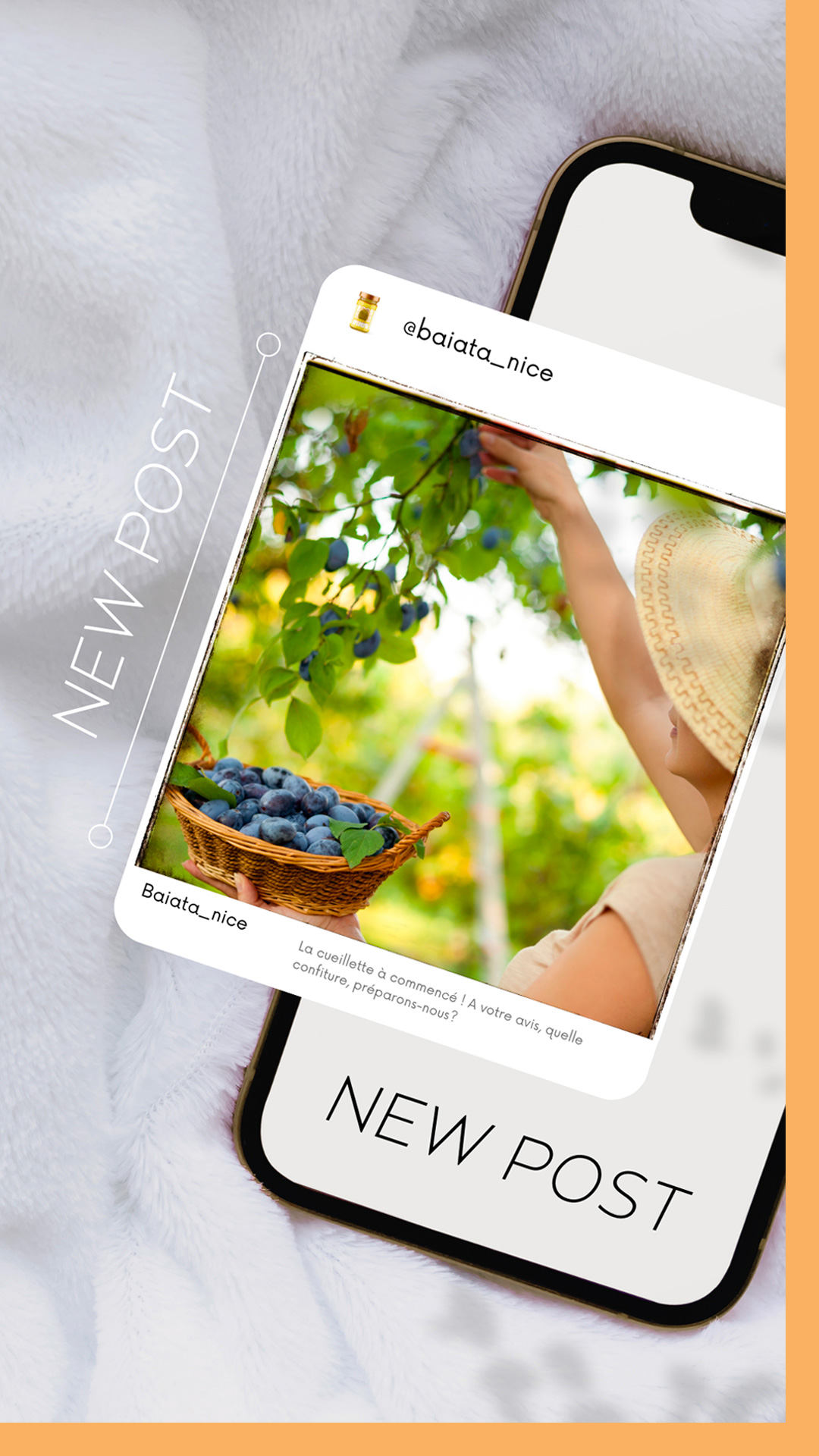 Confitures artisanales des fruits du Sud de la France