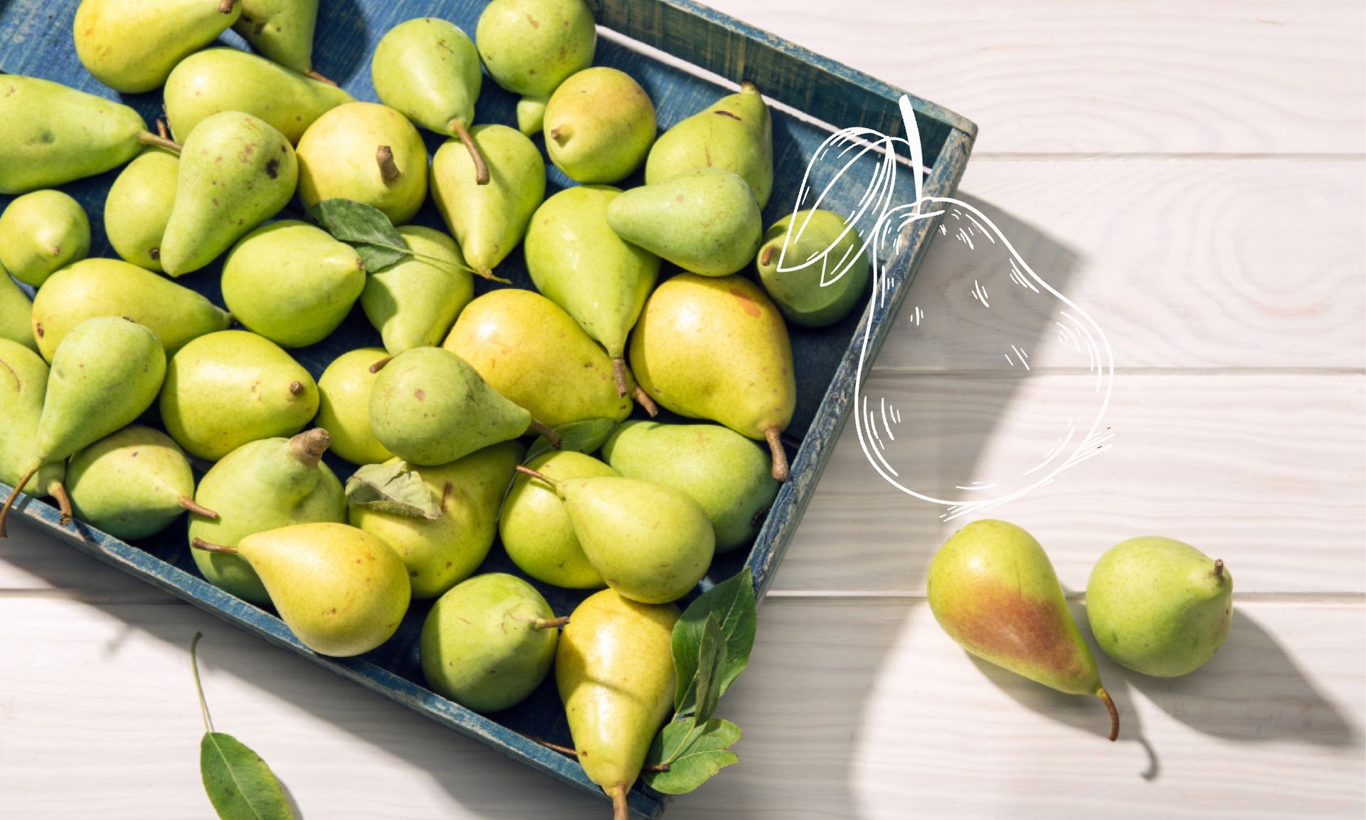 Confitures artisanales des fruits du Sud de la France