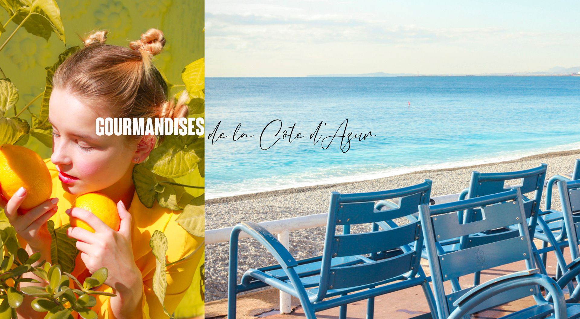 Confitures artisanales des fruits du Sud de la France